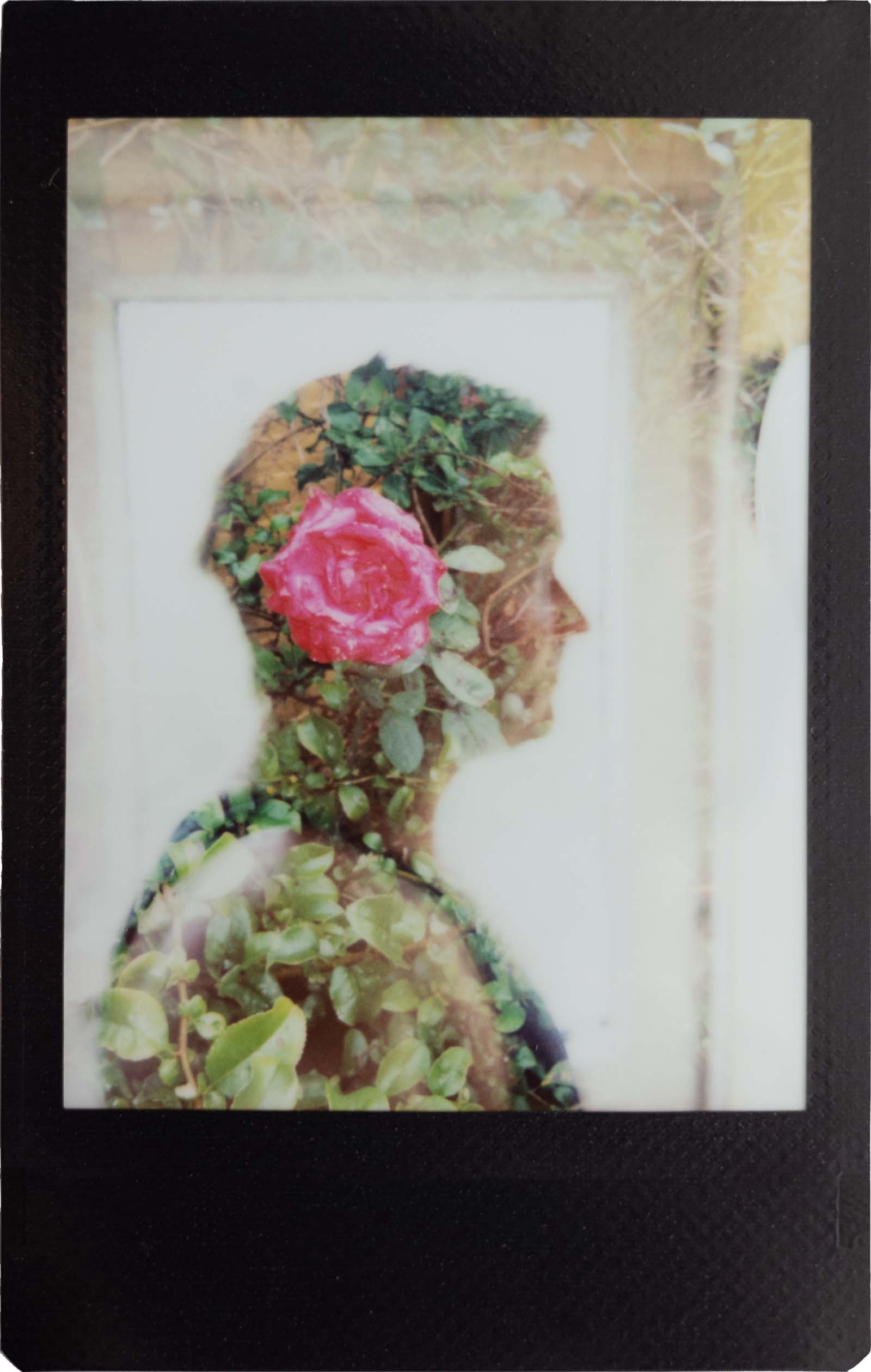 News from artist Willie Robb